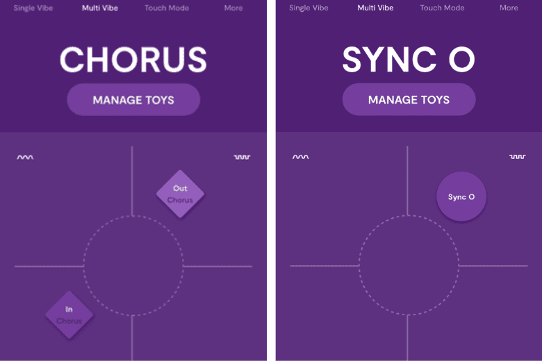 We-Vibe Sync O vs Chorus [Side-by-Side Comparison 2025]